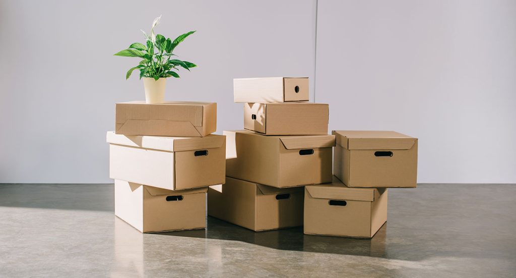 Envases y embalajes de cartón: tipos de cajas | Servei Estació