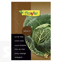 COL MILAN VERTUS 2 | Comprar en SERVEI ESTACIÓ