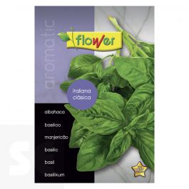 Albahaca Italiana Clásica | Comprar en SERVEI ESTACIÓ