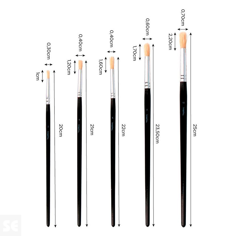 Set 5 Pinceles Cerda Mango Corto Redondos Nº 2, 4, 6, 8, 10