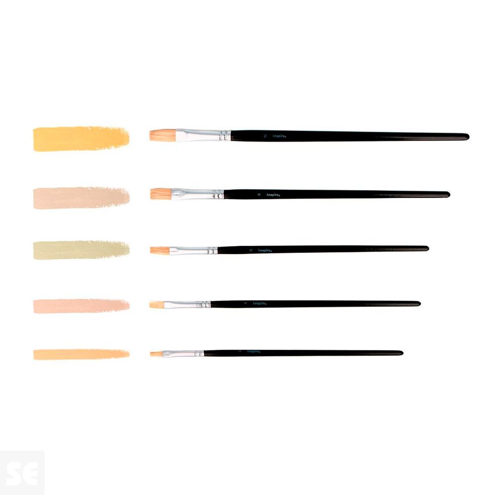 Set 5 Pinceles Cerda Mango Corto Planos Nº 2, 4, 6, 8, 10